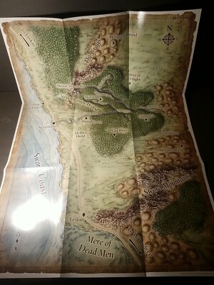 2 SIDED DRAGONLANCE - FAERUN SWORD COAST LG MAP/ POSTER NM DUNGEONS ...