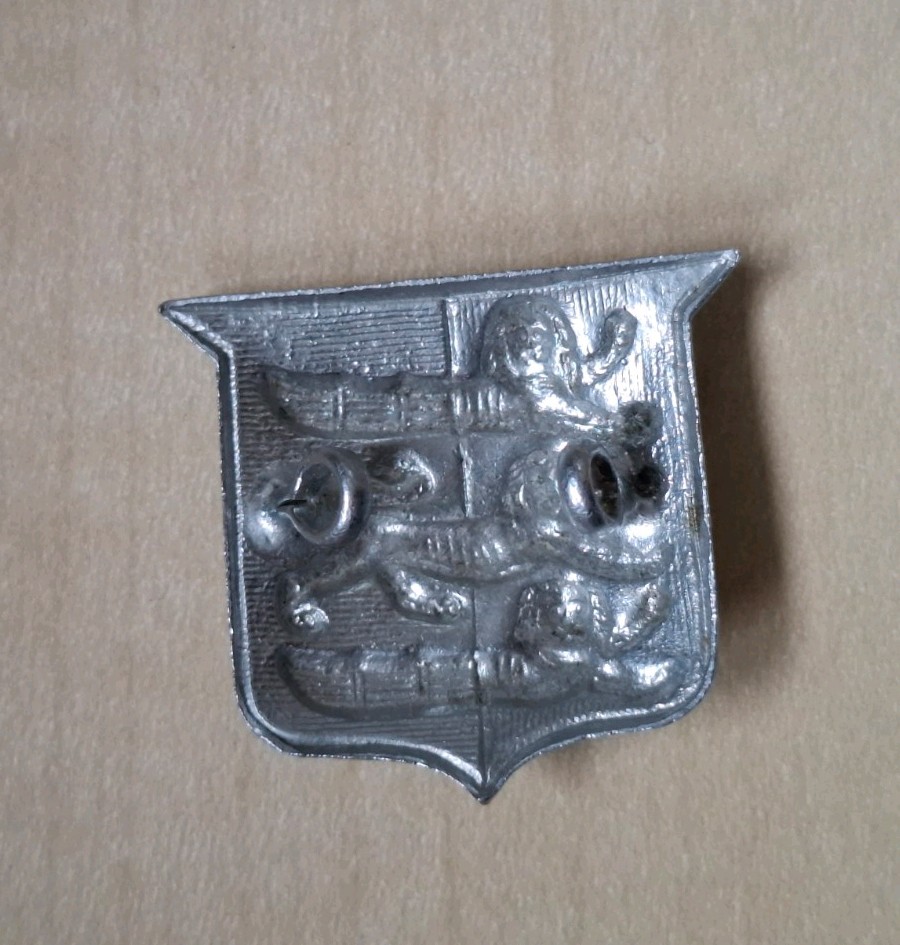 Vintage Hastings Borough Police Badge | eBay UK