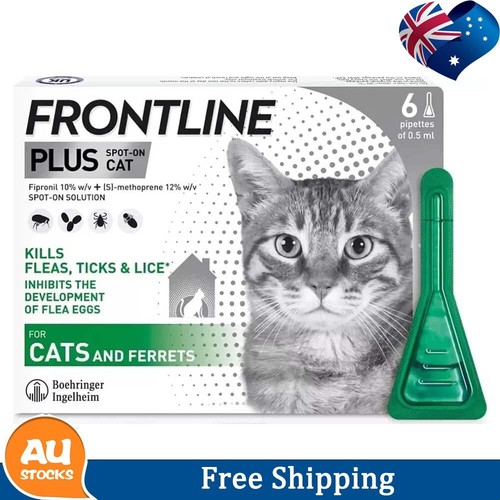 Frontline Plus Flea & Tick Treatment Drops for Cats and Ferrets - 6 ...