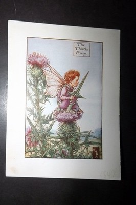 Cicely Mary Barker 1940's Flower-Fairy Print. Thistle Fairy | eBay