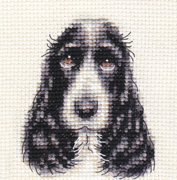 COCKER SPANIEL dog Full counted cross stitch kit all materials Fido ...