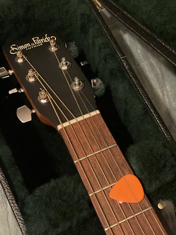 Simon Patrick Luthier Martin Hard Shell acoustic Gibson gretsch gretsch ...