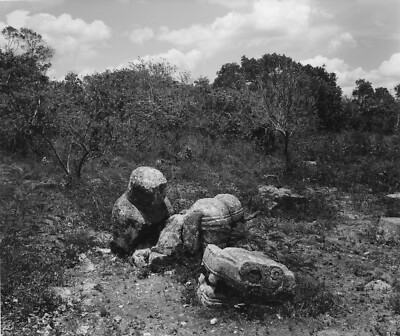 Signed Fred Picker Original Photo Print | eBay