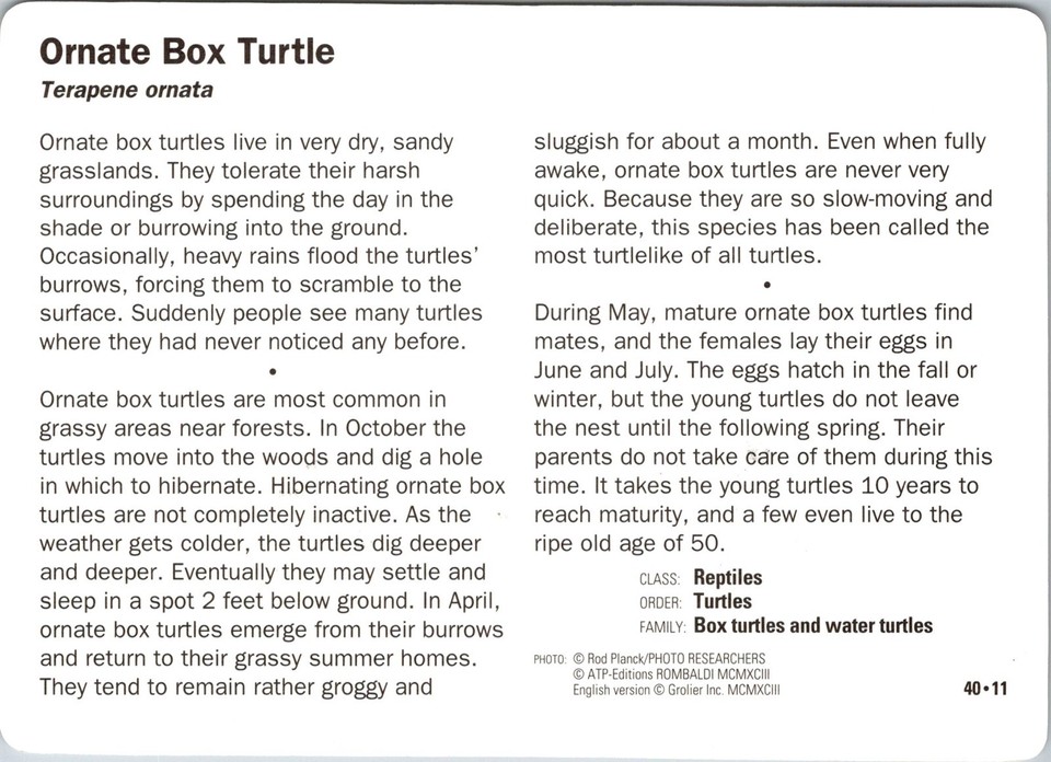 Dr Jim Stamps Maximum Card 37c Ornate Box Turtle First Day Issue | eBay