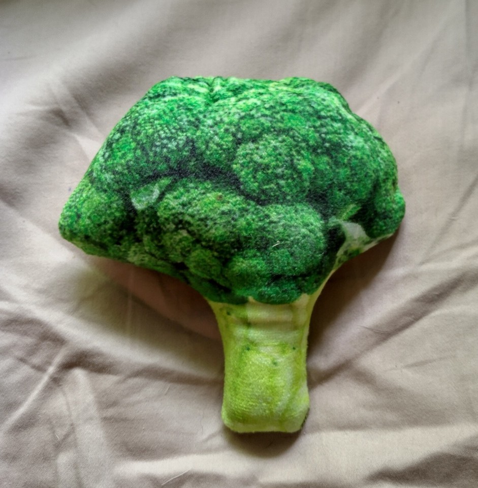 Small plush dog toy squeaky realistic broccoli print (3") | eBay