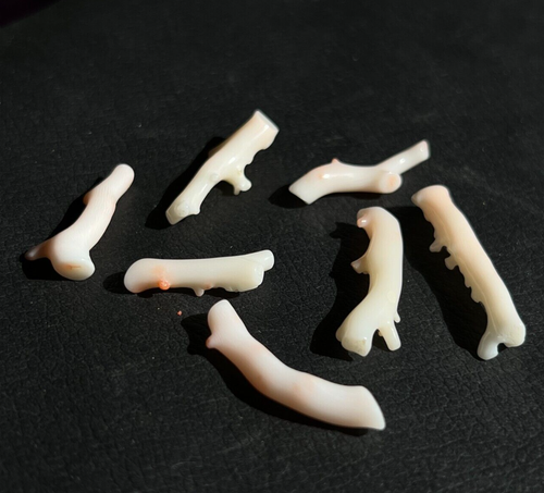 100%Natural Japanese White Pink Coral Rough-Mediterranean White Coral ...