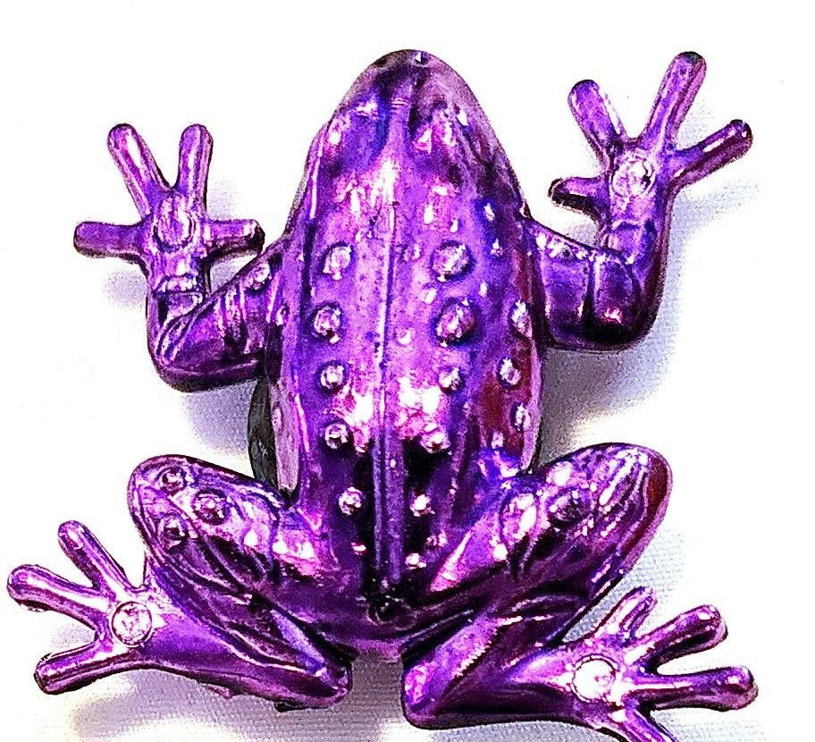 Poison Dart Frog Purple
