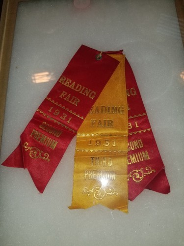 Vintage 3pc 1931 Reading Fair Premium Award Ribbons | eBay
