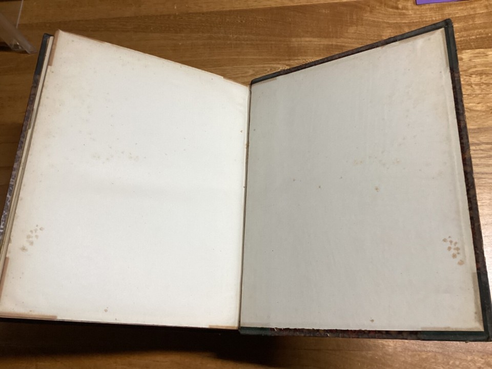 1881 European Ferns - James Britten - Rare Botanical Volume With ...