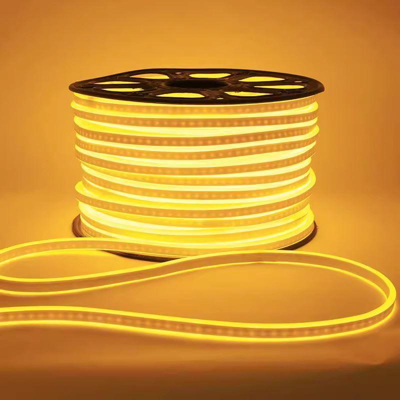 65ft Double-side Neon LED Light Strip 12V 24V Rope Tube Waterproof ...