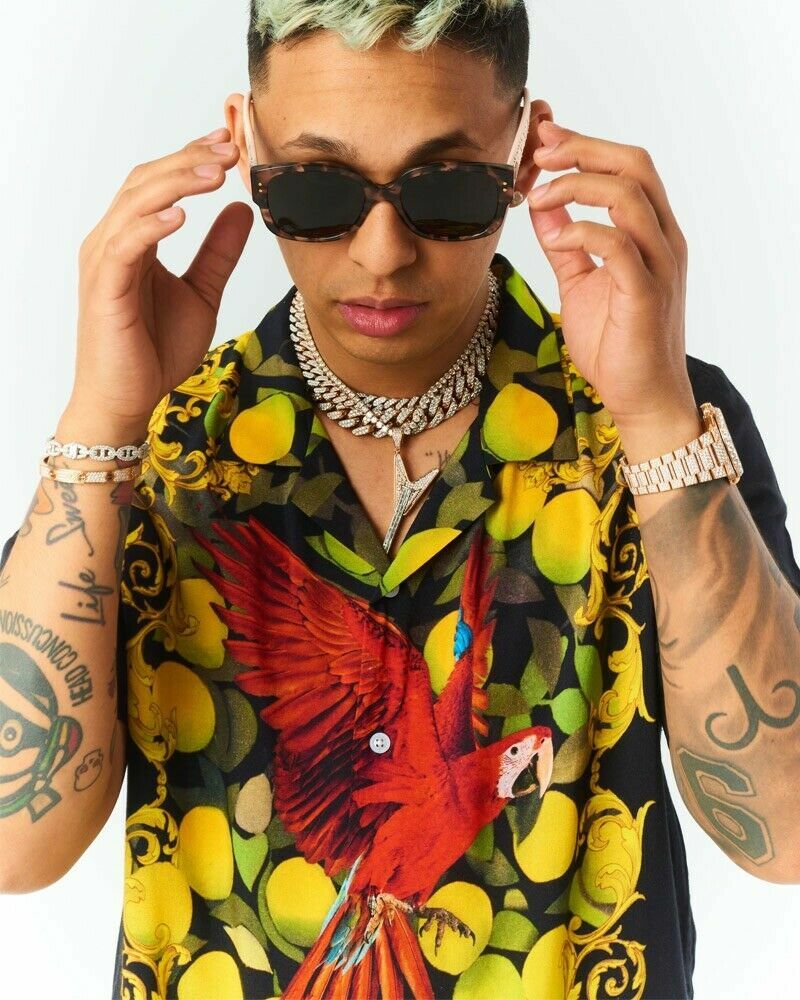 LRG Lifted Research Group Mens A1 Perico Parakeet Woven Button-Up Shirt ...