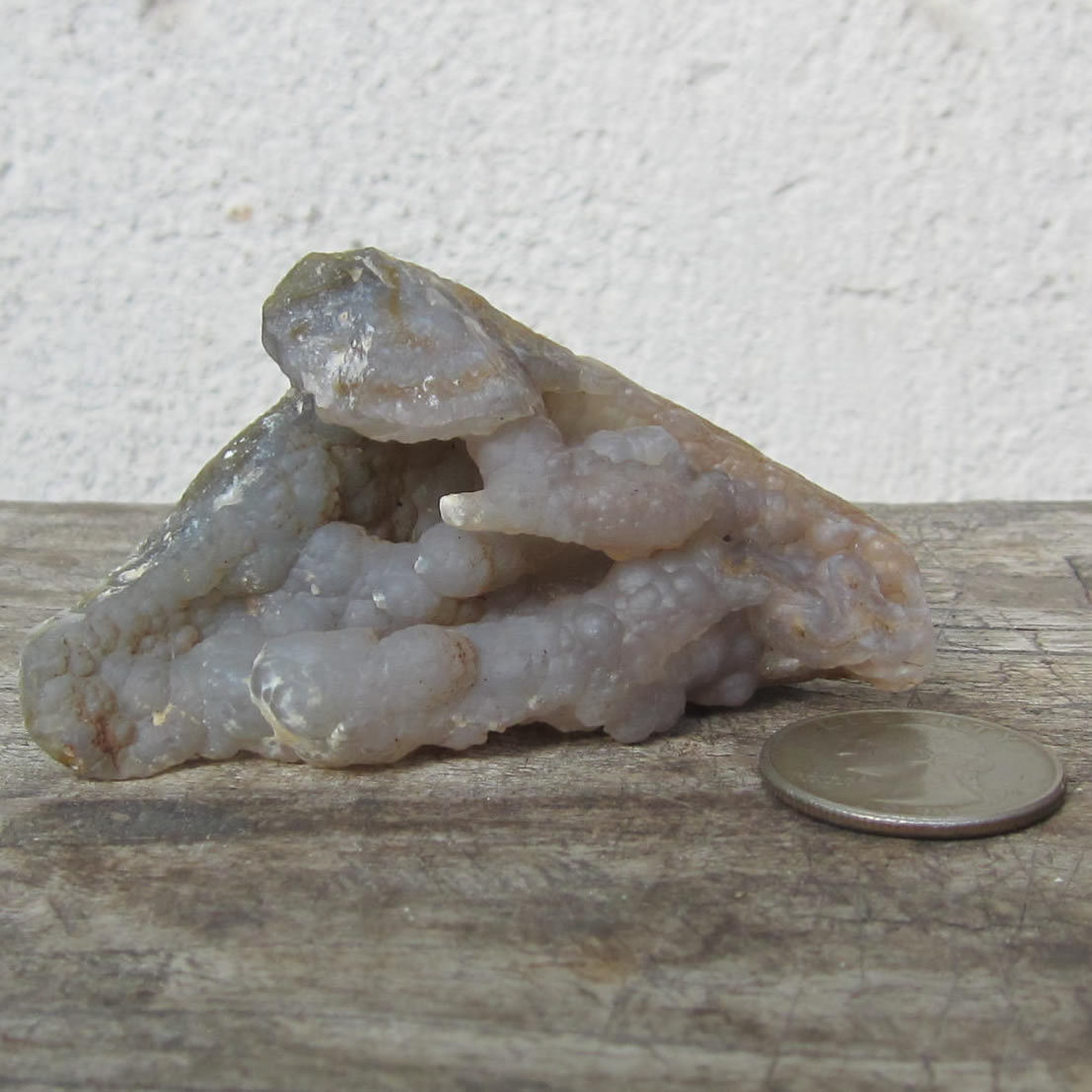 Natural Gobi rough agate/Jasper stone for Bonsai Suiseki (gray) gm519 ...