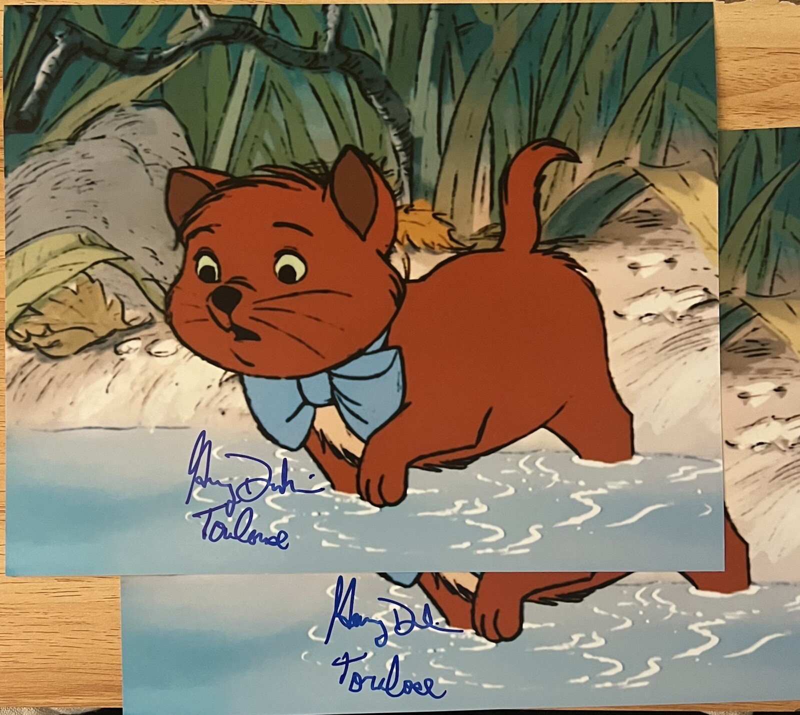 Gary Dubin The Aristocats Signed Autographed Color 8x10 Disney | eBay