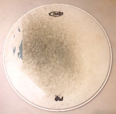 14" PDP white coated drum head for toms or snare, 2 ply, stick marks ...