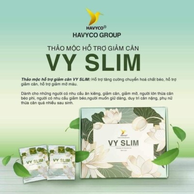 VY SLIM - 15 packs * 2 tablets- - Tra Thao Moc - Tra Giam Can - Vy ...