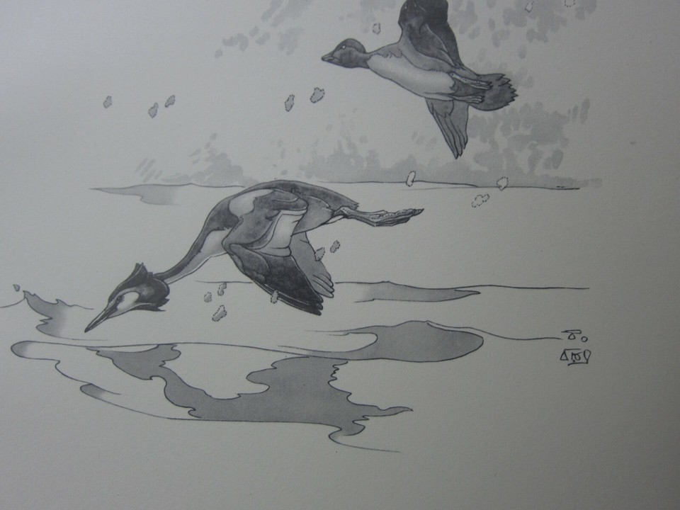 1937 Talbot KELLY Bird Overprint ~ Large Ornate Grebe & Golden Eye | eBay