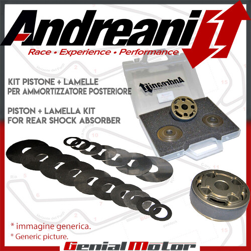 Andreani Piston Kit Original Rear Shock Absorbers for KTM SX-F 450 2018 ...