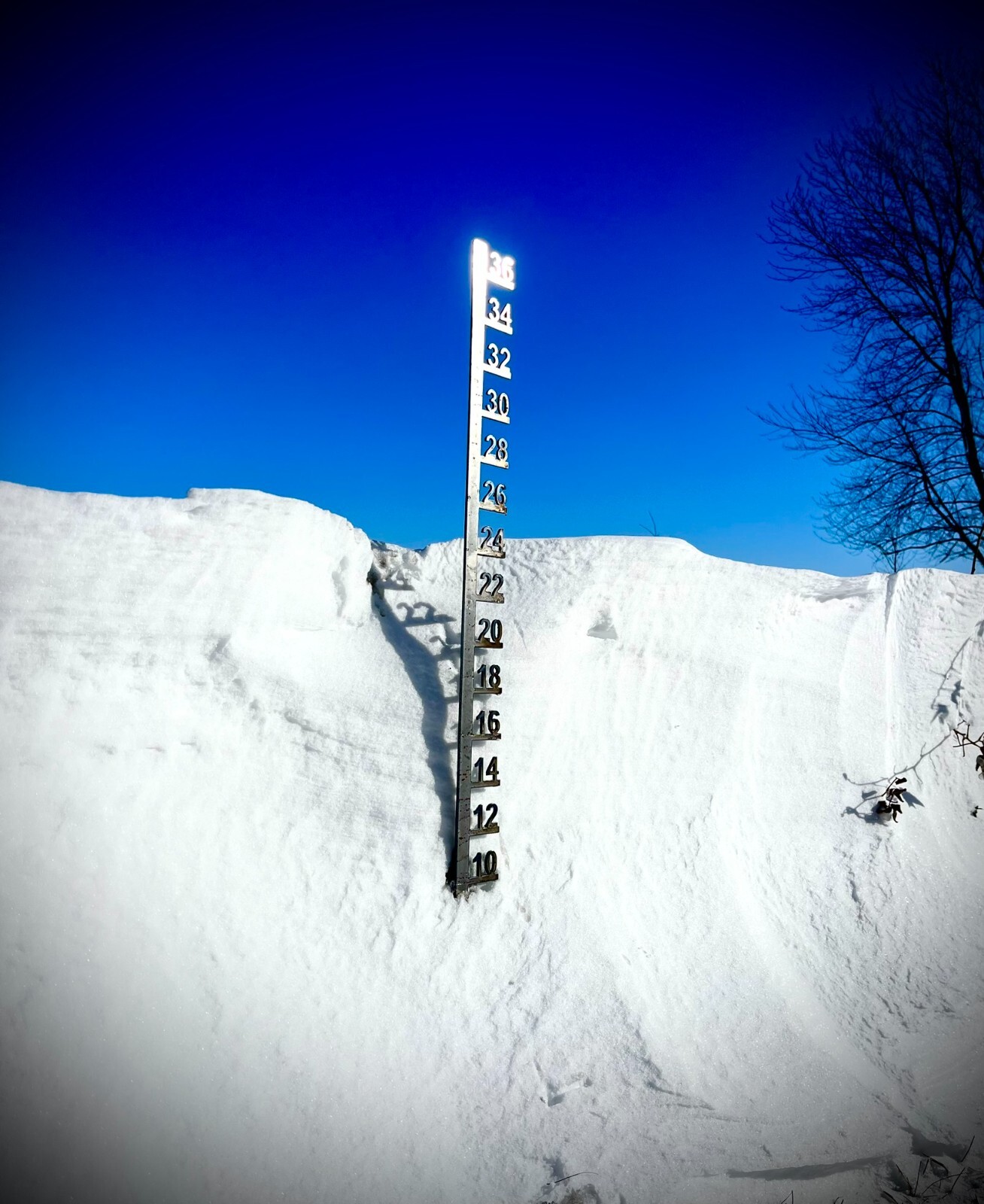 Large 36-inch Snow Gauge, Metal Snow Depth Marker Stake - Raw Steel | eBay
