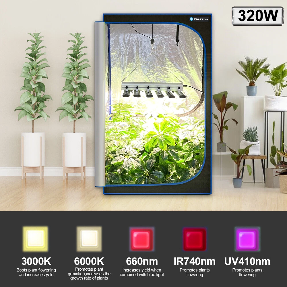 Gavita Grow Light Yield | Shelly Lighting