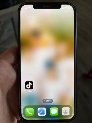 Apple iPhone 12 - WITH TIK TOK | eBay