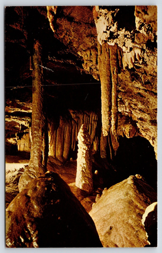 Oregon Caves National Monument Vintage Postcard | eBay