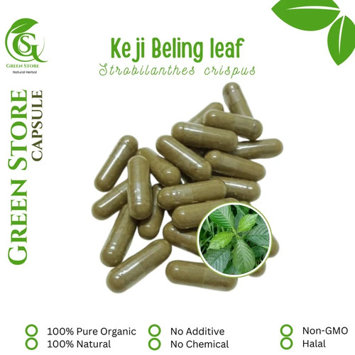 100-1000 CAPSULES Strobilanthes Crispa Broken Glass Leafs @600mg ...