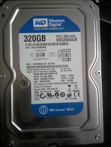 Western Digital Caviar Blue 320GB Internal 7200RPM 3.5" (WD3200AAJB ...