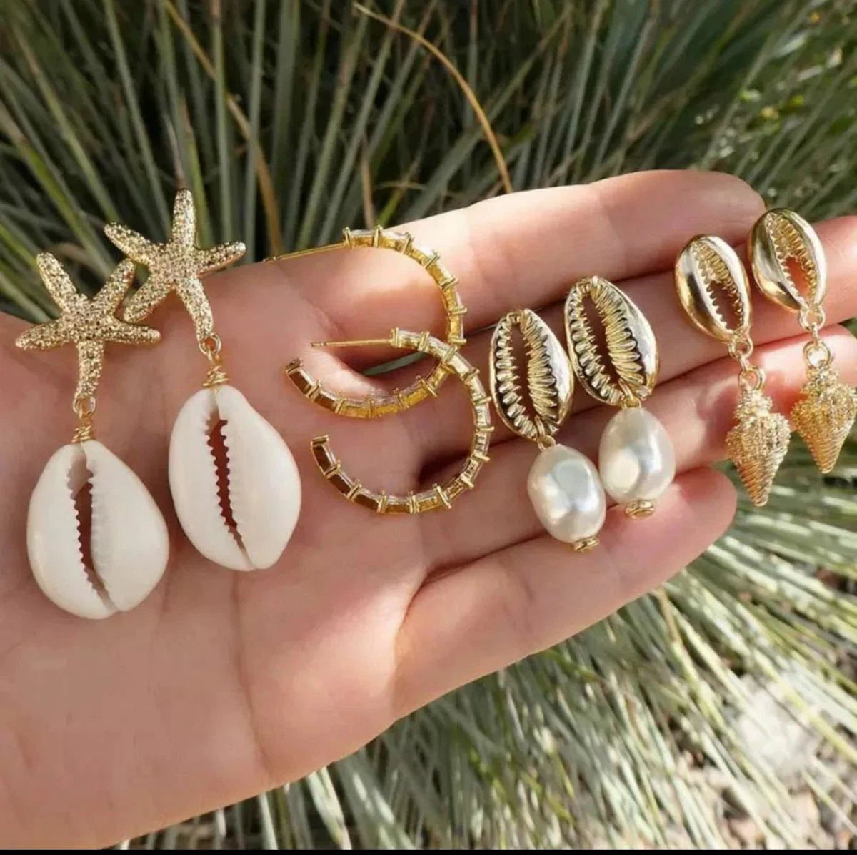 Real Starfish And Shell Earrings