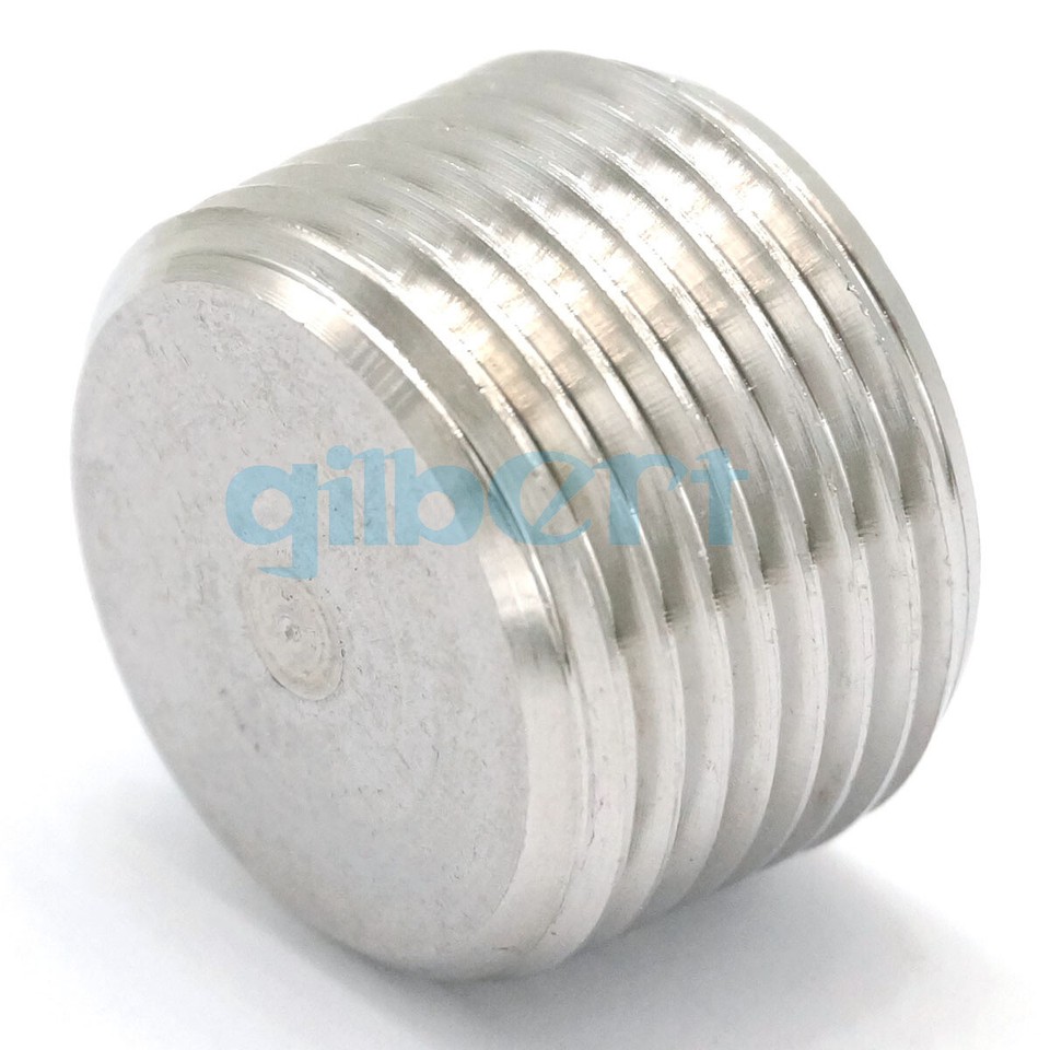 Sizes BSPP BSPT NPT Metric Male 304 Stainless Countersunk End Plug Hex ...