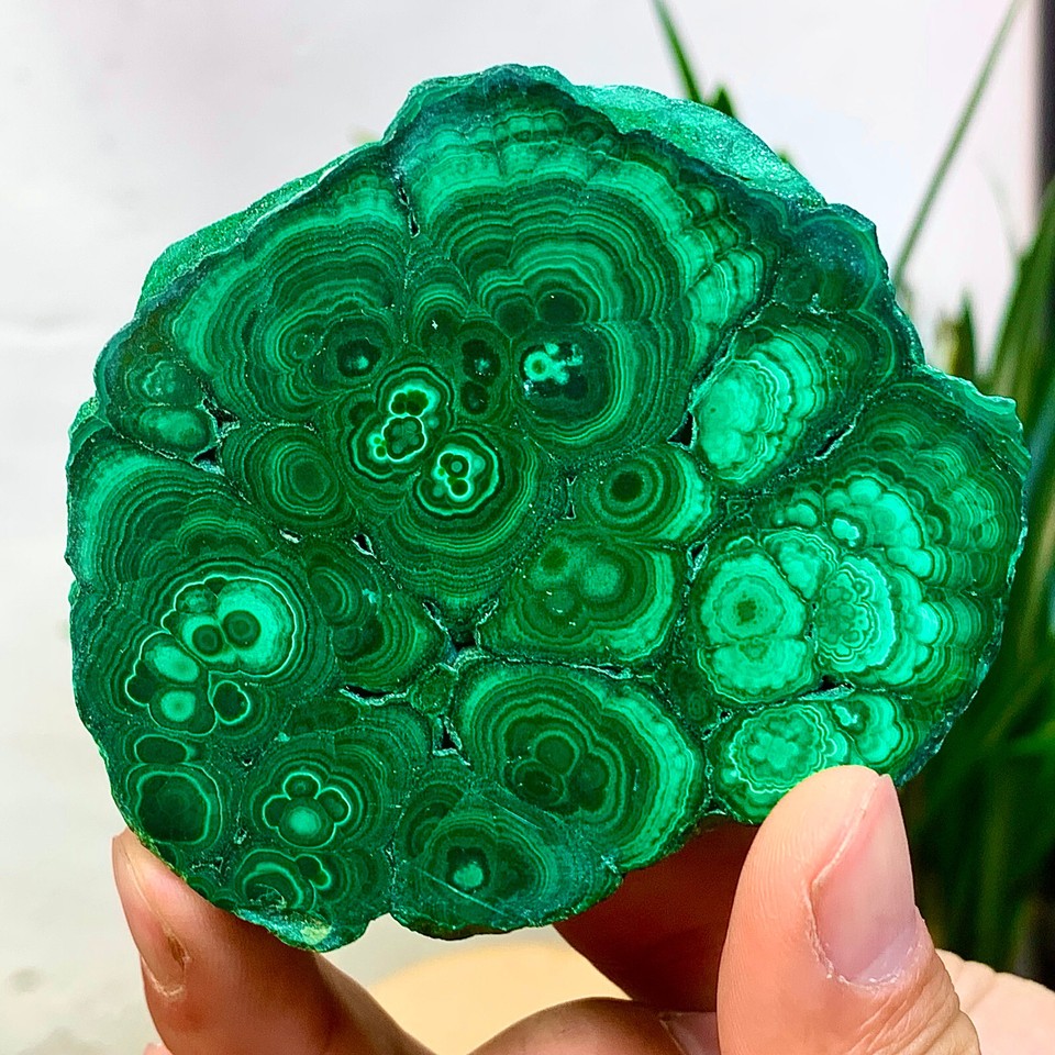 304g Natural glossy Malachite transparent cluster rough mineral sample ...