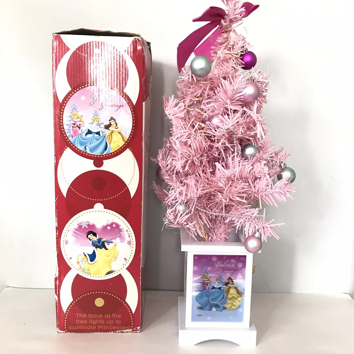 Disney Princess Christmas Pictures