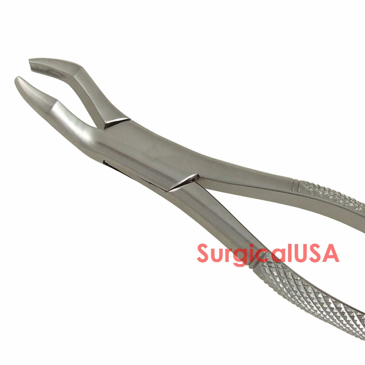 Dental Extracting Forceps #10S Serrated Beaks Dentist Surgical Forceps ...