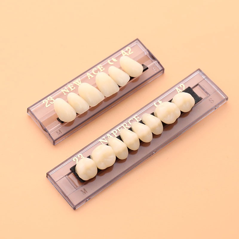 168PCS/6Sets Dental Synthetic Polymer Teeth Resin Denture Dental Teeth ...