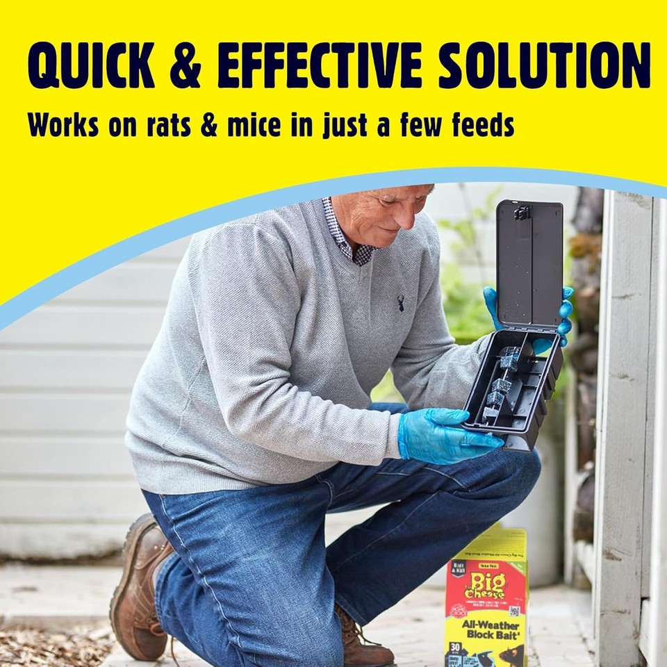 Big Cheese 30 X 10G Rat Poison Bait Mouse Killer All-Weather Block Bait ...