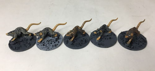 DnD / Pathfinder Hand Painted Figures - Animal Encounter - 5x Rats | eBay