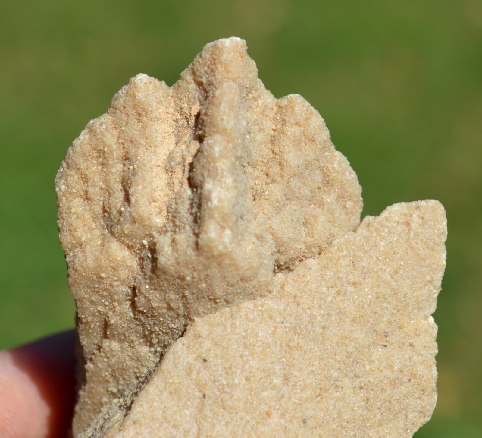 Calcite var sand-calcite - 194 grammes - M'naguer, Taïbet District ...
