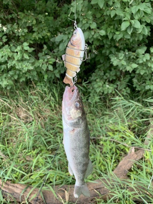 Bass Crusher Lures, Fishing 6 Segments Artificial Swim Bait Perch Pike ...