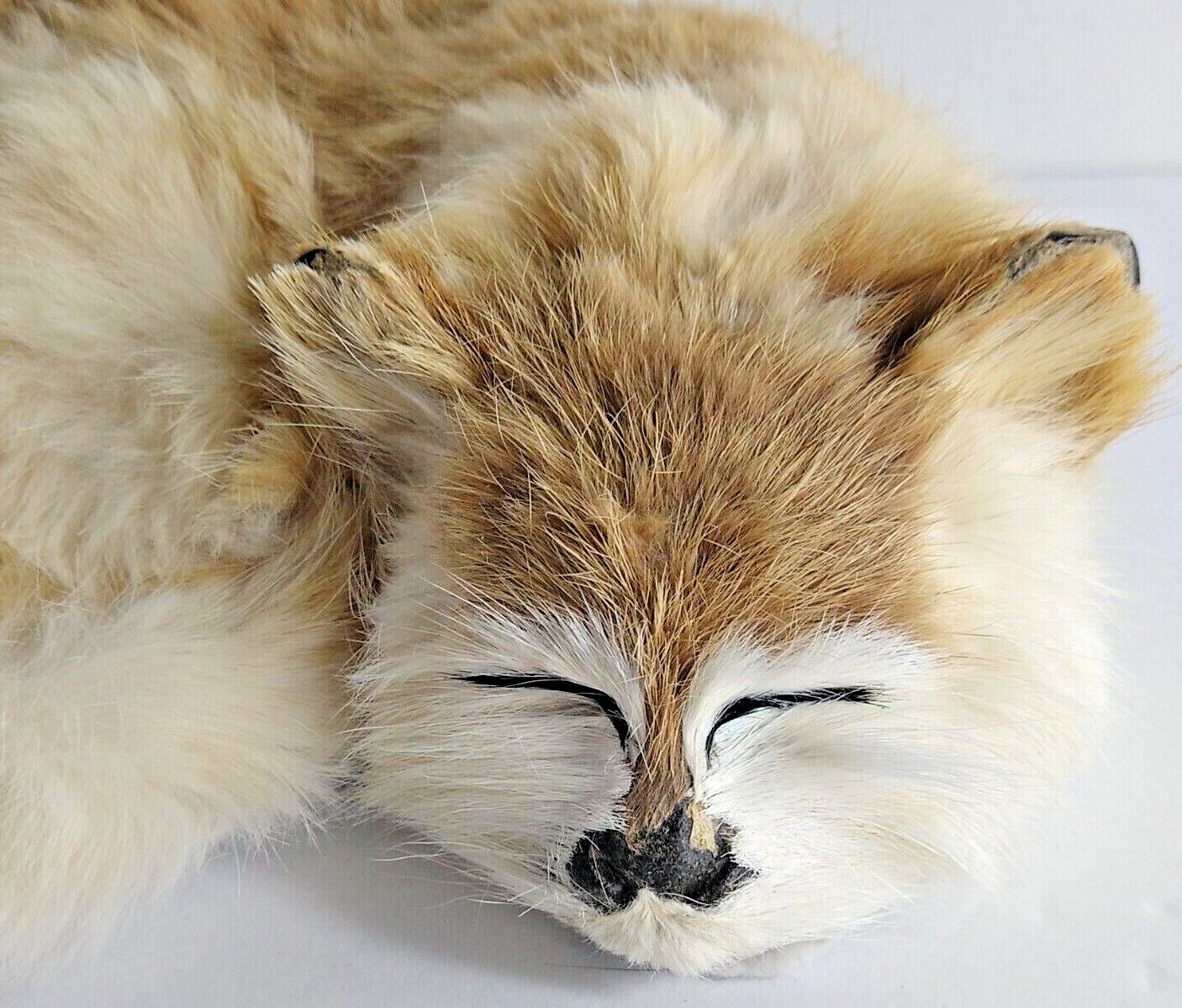 Realistic Sleeping Cat Figure Kitten Tabby Made With Rabbit Fur Soft 10 ...