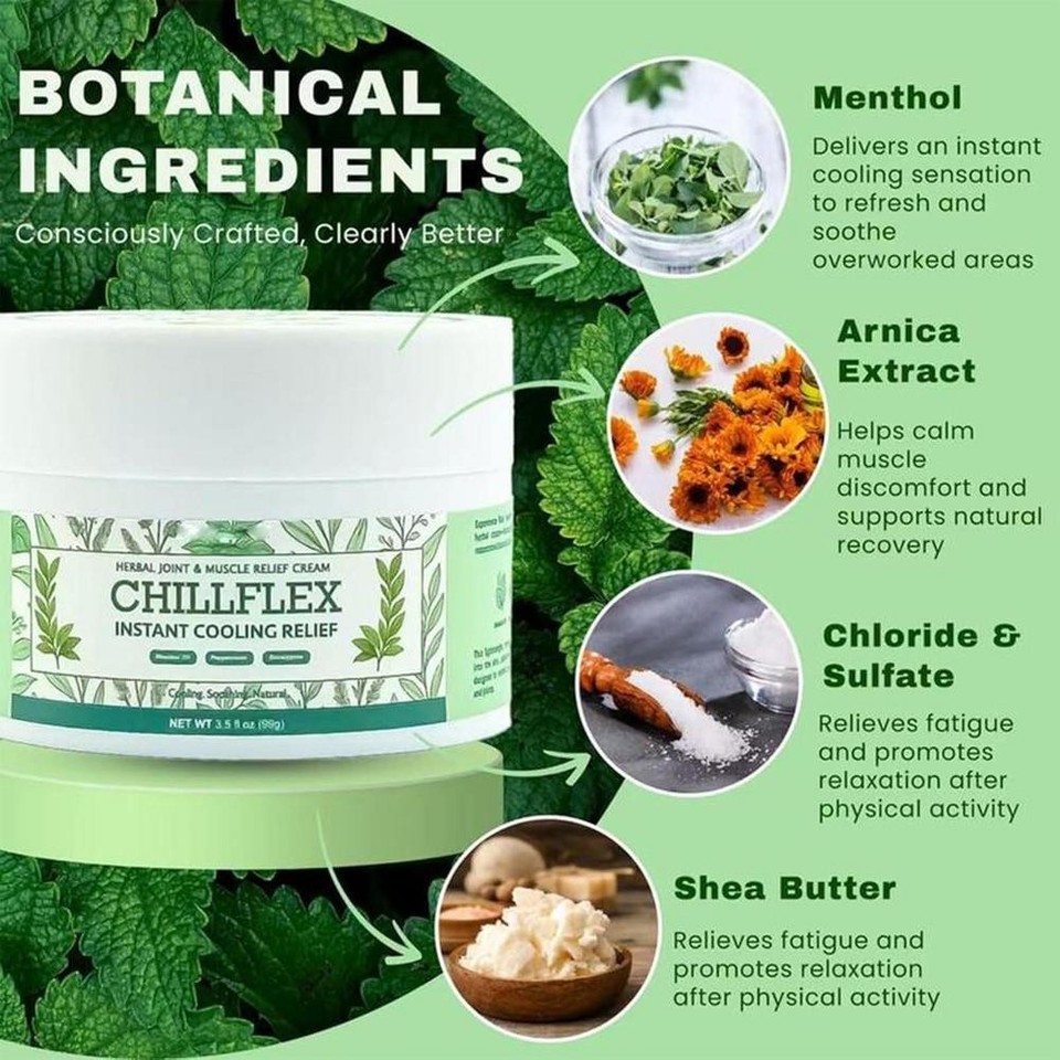 Chillflex Instant Cooling and Soothing Cream Herbal Mint Joint Pain ...