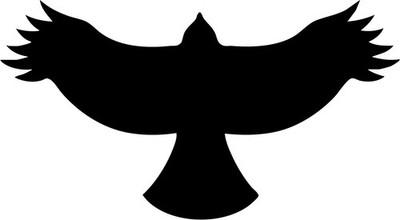 HAWK Taylor Hawkins Signature autograph VINYL DECAL STICKER Foo ...