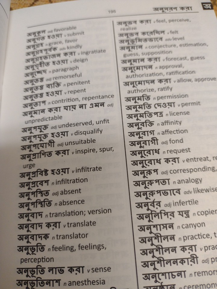 Bengalí Word to Word Bilingual Dictionary by Bilingual Dictionaries | eBay