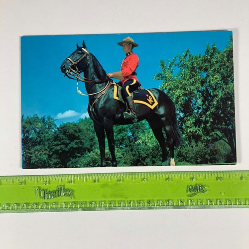 Royal Canadian Mounted Police In Canada Mounted Rider 8.75x5.5 Chrome ...