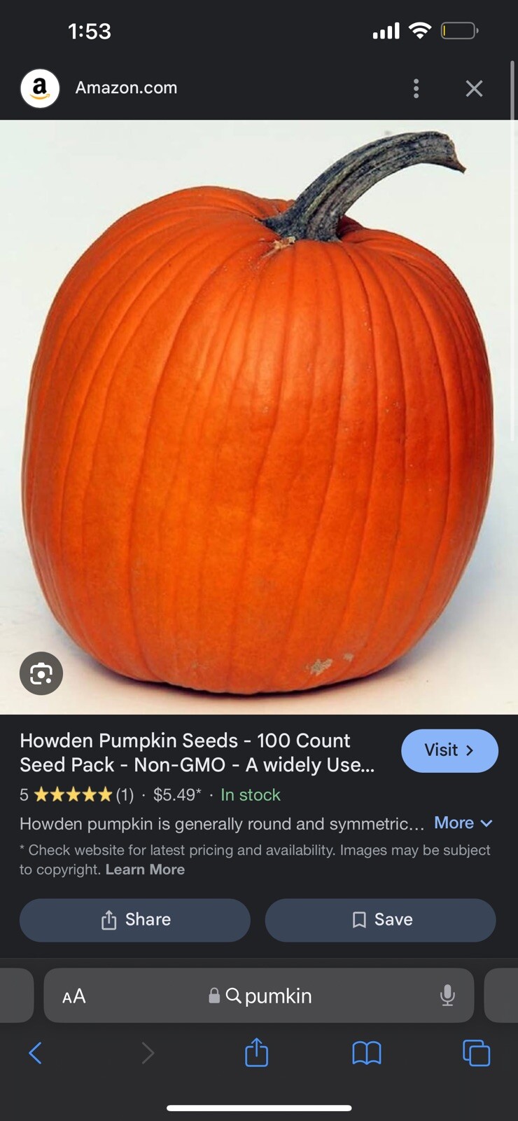 Rouge VIF D'Etampes Pumpkin Seeds for Planting (10 Seeds) - Grow Vivid ...