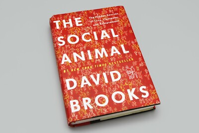 The Social Animal, Hardcover Book By David Brooks, New York Times Best ...