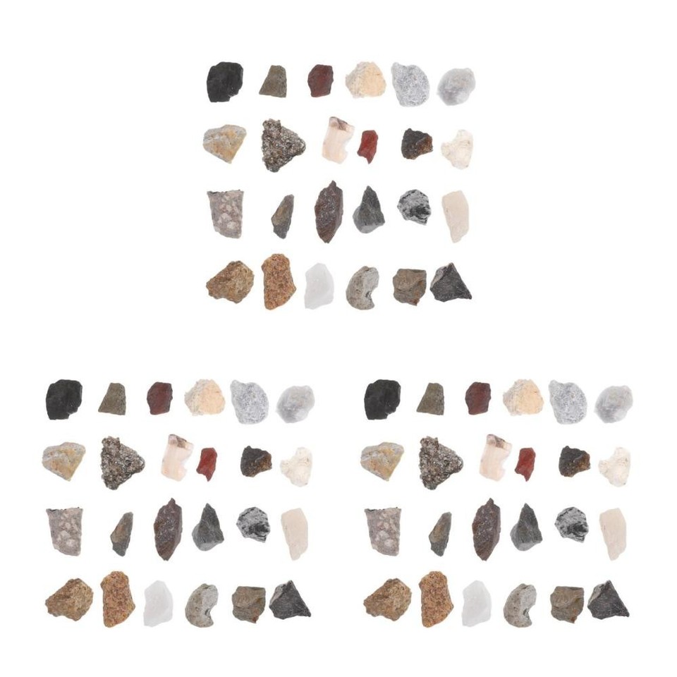 24 Pcs Rock Collections for Kids Geology Kit Mineral Stones Teaching ...