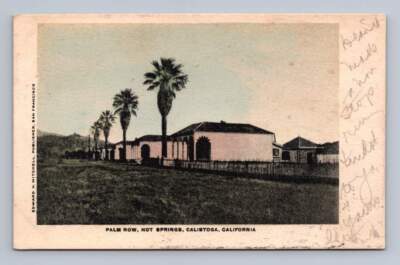 Palm Row ~ Hot Springs CALISTOGA California Antique Hand Colored ...