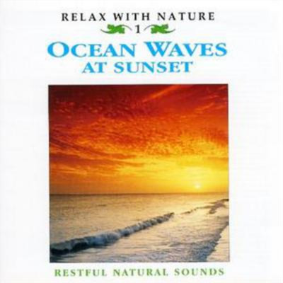 Natural Sounds Relax With Nature - Ocean Waves at Sunset (CD) Album | eBay