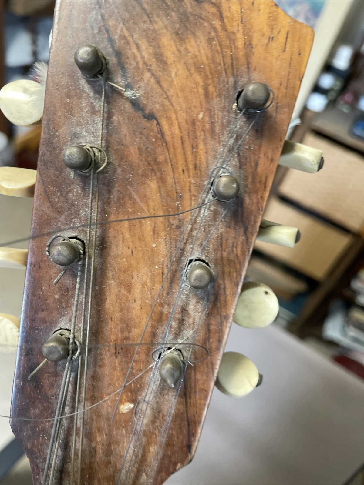 Antique Bowl back Mandolin Shell MOP Inlaid Pickguard Instrument ...