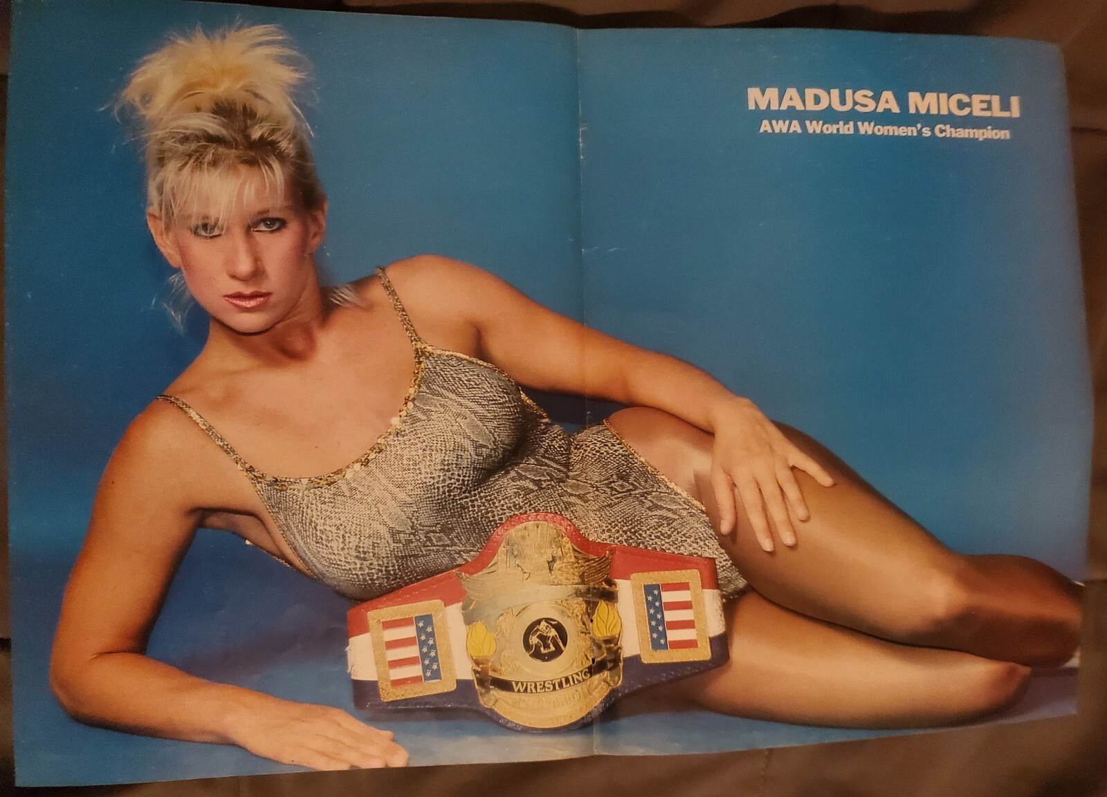 AWA AMERICAN WRESTLING ASSOCIATION CENTERFOLD (1988) MADUSA MICELI | eBay