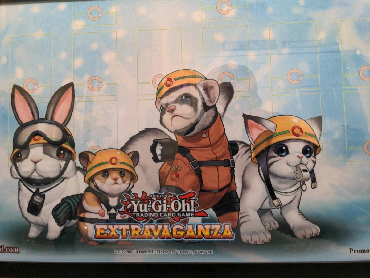 Rescue Rabbit Playmat